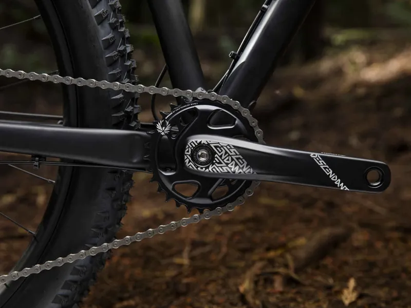 Trek Roscoe 8 2019 Womens Hardtail Mountain Bike in Black